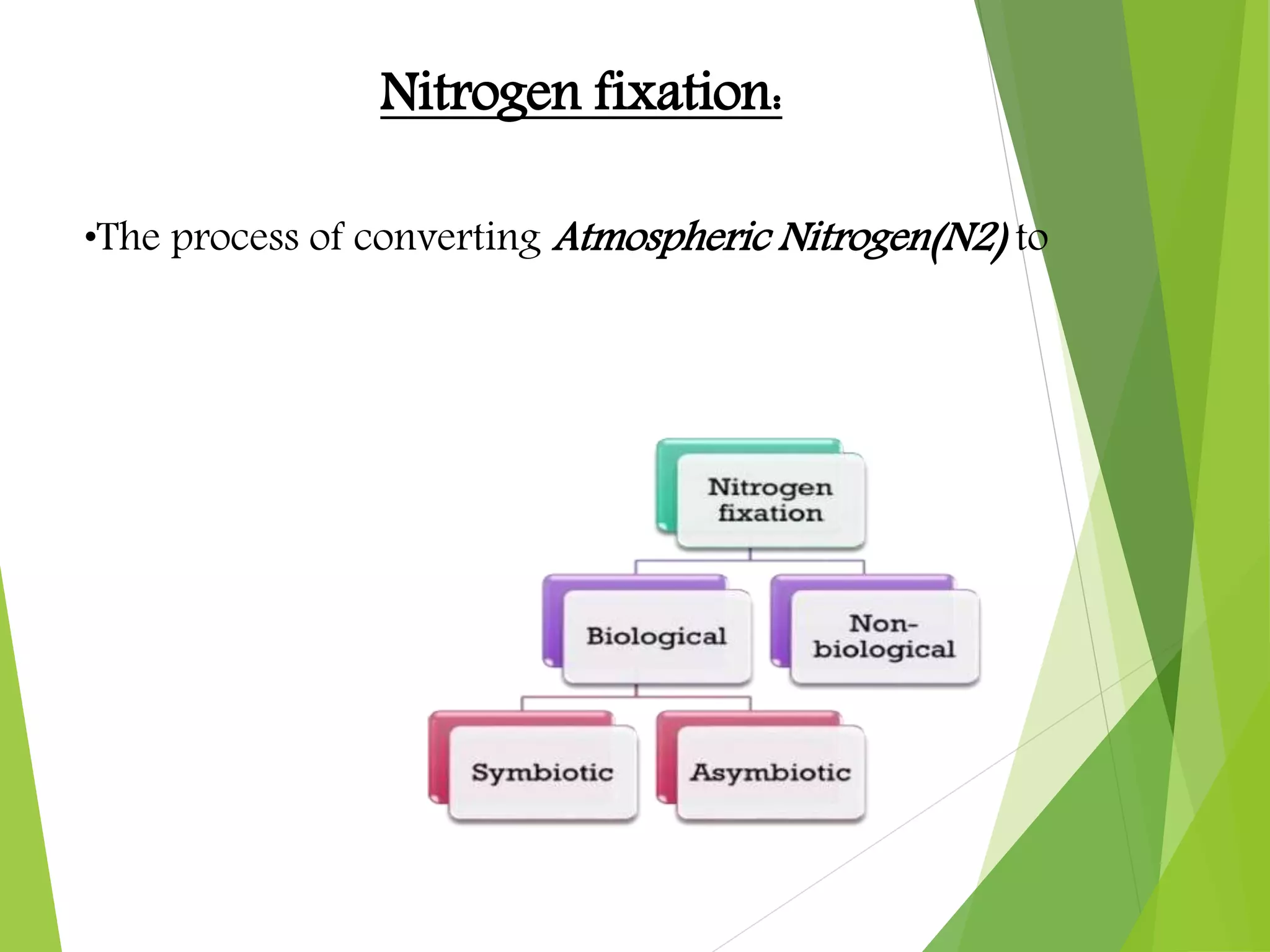 Nitrogen fixation in plants | PPTX