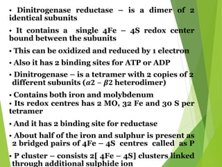 Nitrogen fixation in plants | PPTX