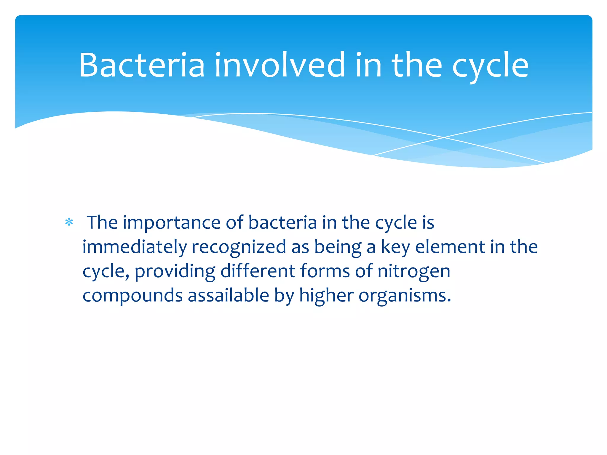 Nitrogen fixed by bacteria | PPTX