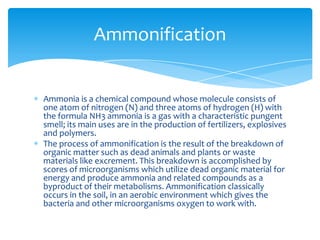 Nitrogen fixed by bacteria | PPTX | Chemistry | Science