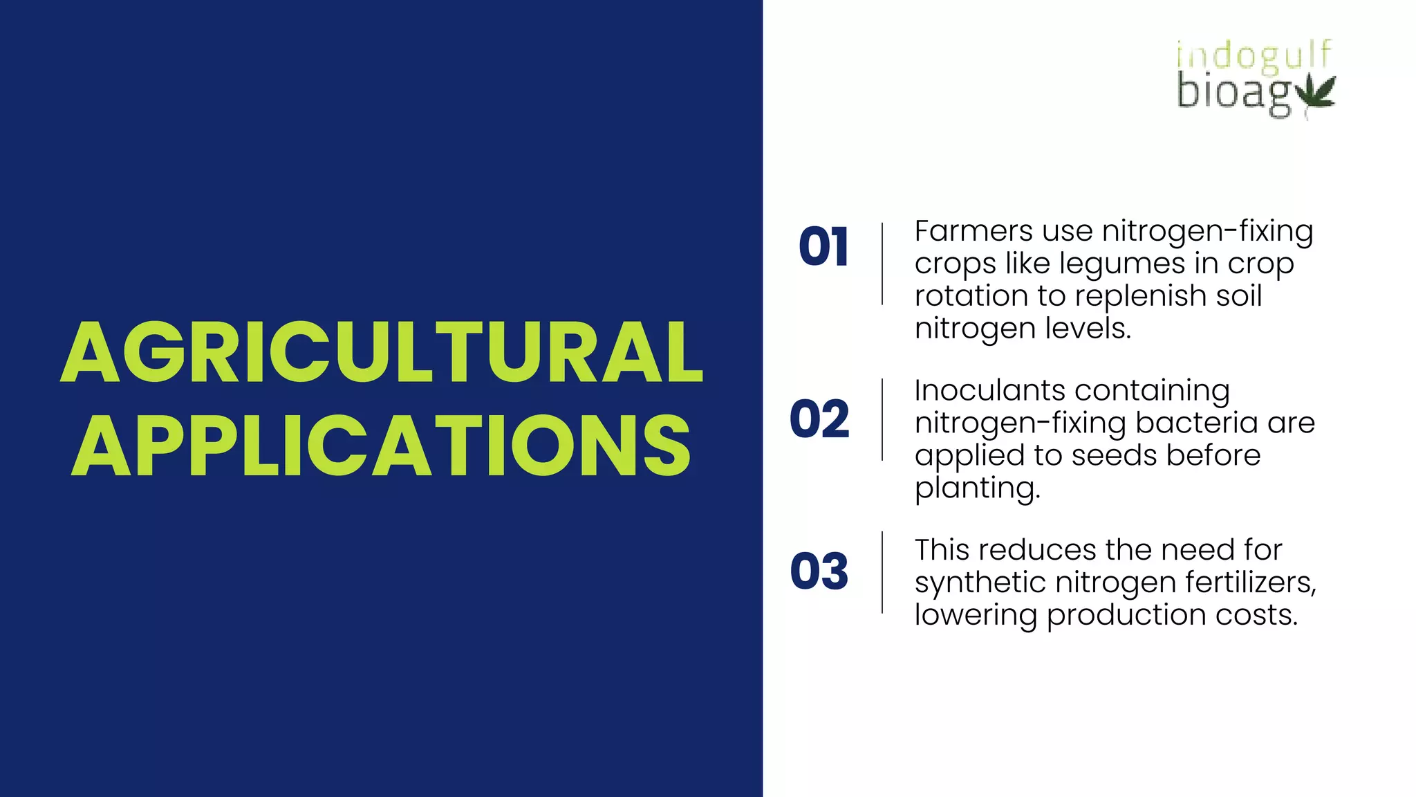 The Basics of Nitrogen-Fixing Bacteria | PDF