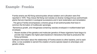 nitrogen fixing mo.pptx