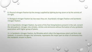 Nitrogen metabolism | PPTX