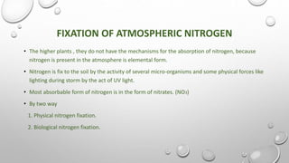 Nitrogen metabolism | PPTX