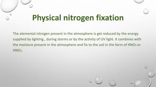 Nitrogen metabolism | PPTX
