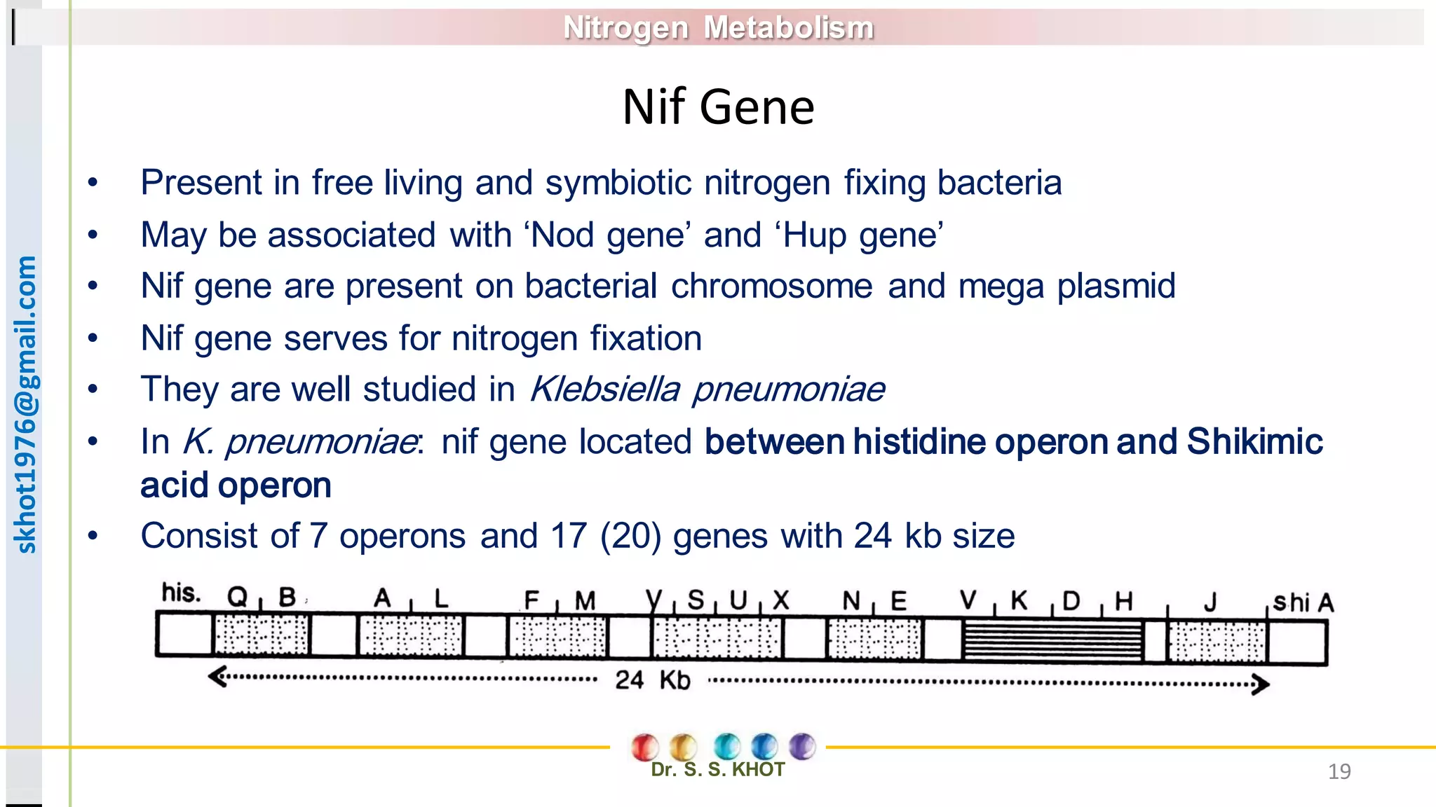 Nitrogen metabolism | PDF