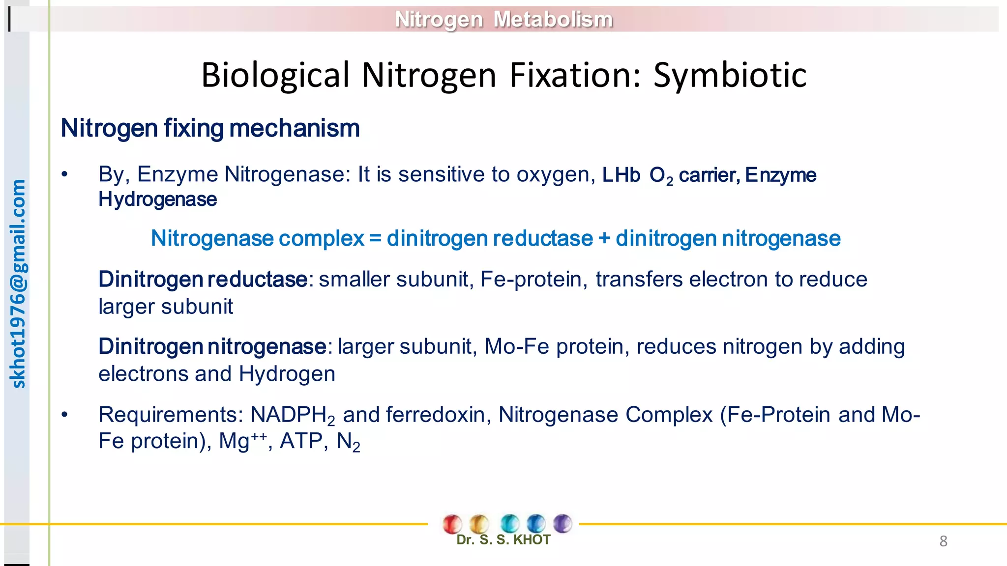 Nitrogen metabolism | PDF