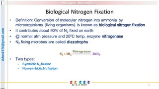 Nitrogen metabolism | PDF