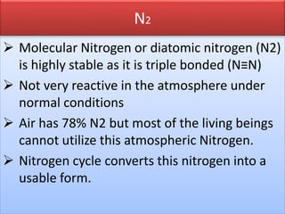Nitrogen metabolism | PPT