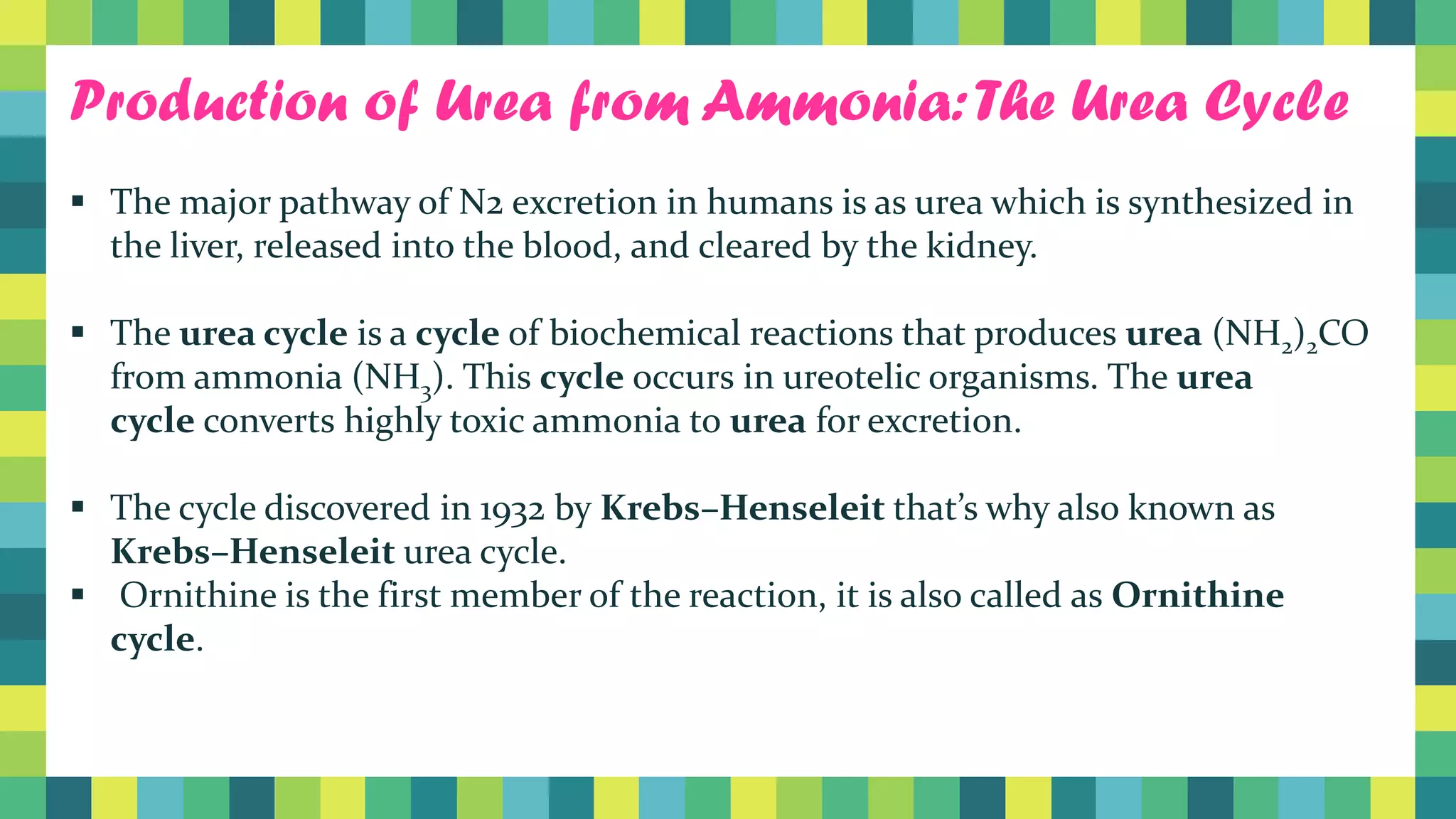Nitrogen metabolism (metabolic fate of amino acid, catabolism of amino ...
