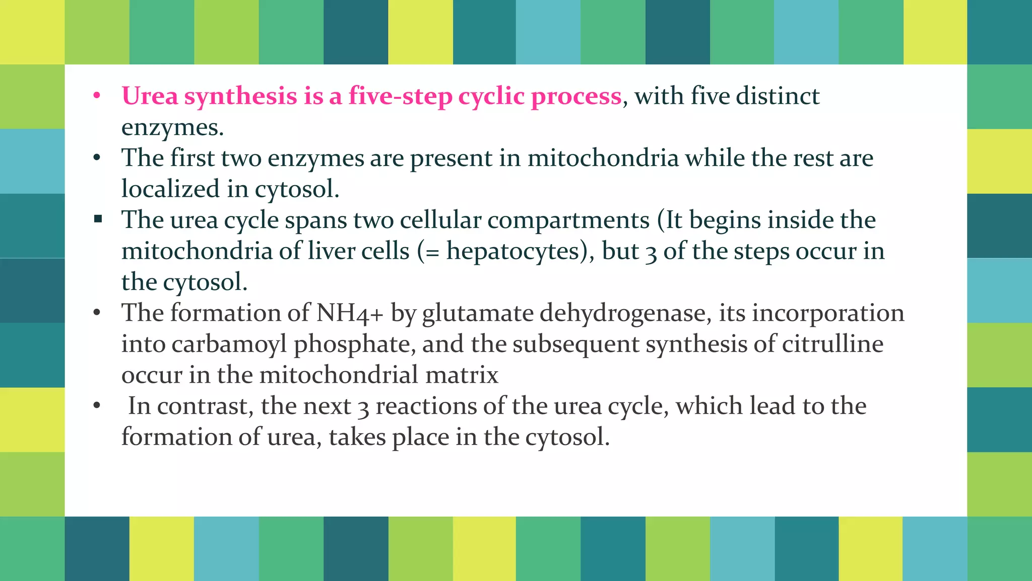Nitrogen metabolism (metabolic fate of amino acid, catabolism of amino ...