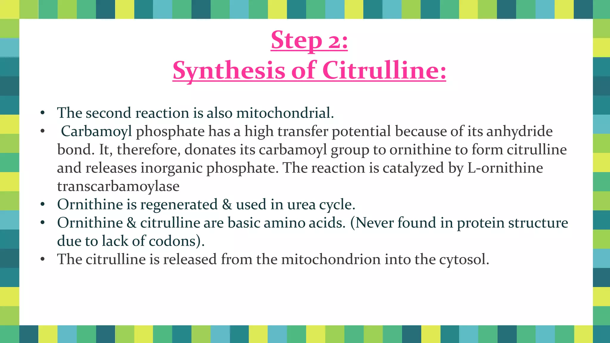 Nitrogen metabolism (metabolic fate of amino acid, catabolism of amino ...
