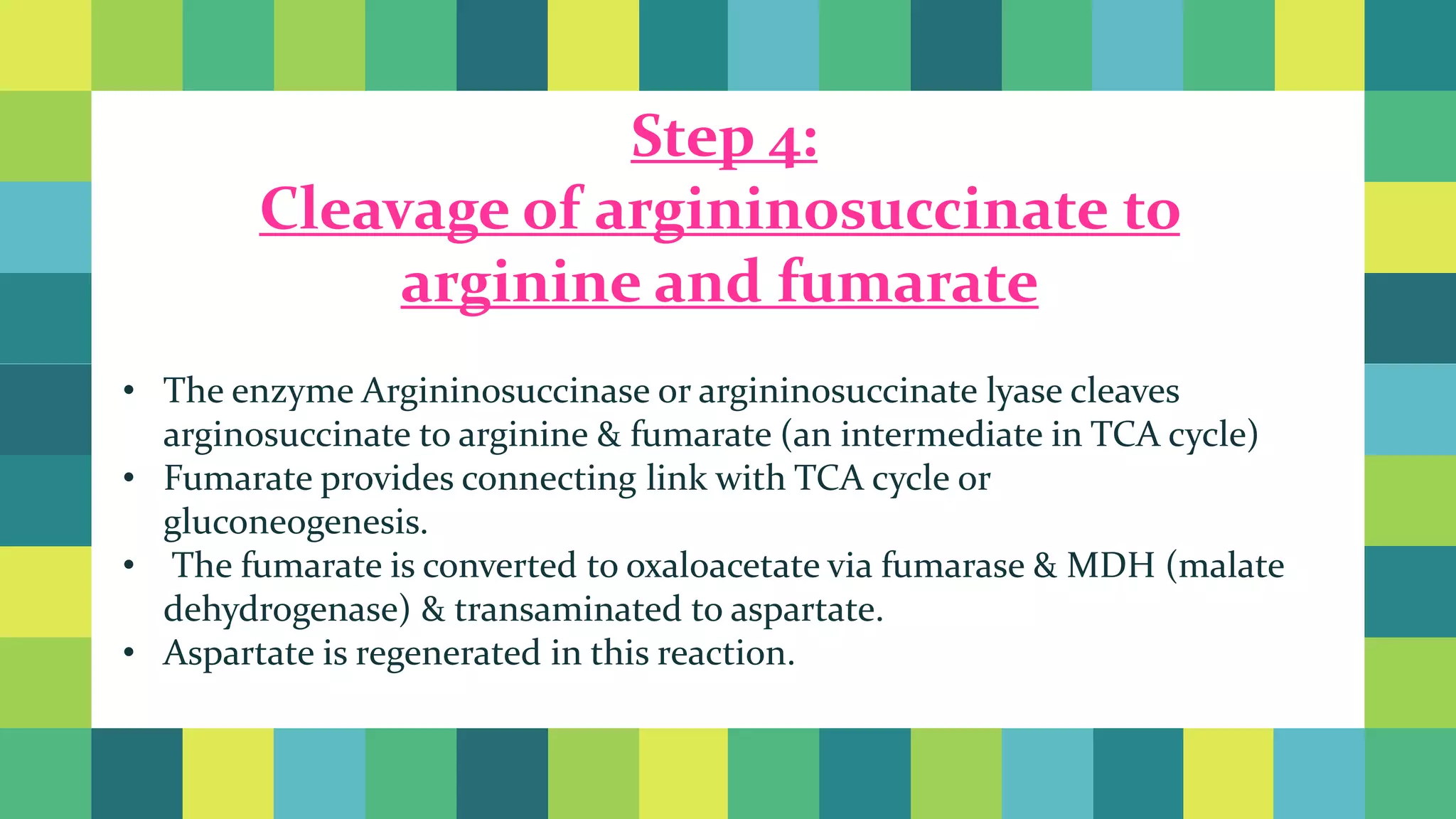 Nitrogen metabolism (metabolic fate of amino acid, catabolism of amino ...