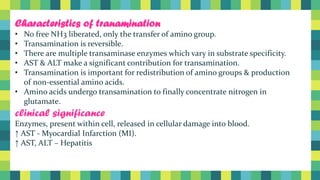 Nitrogen metabolism (metabolic fate of amino acid, catabolism of amino ...