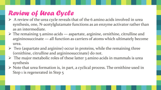 Nitrogen metabolism (metabolic fate of amino acid, catabolism of amino ...