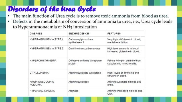 Nitrogen metabolism (metabolic fate of amino acid, catabolism of amino ...
