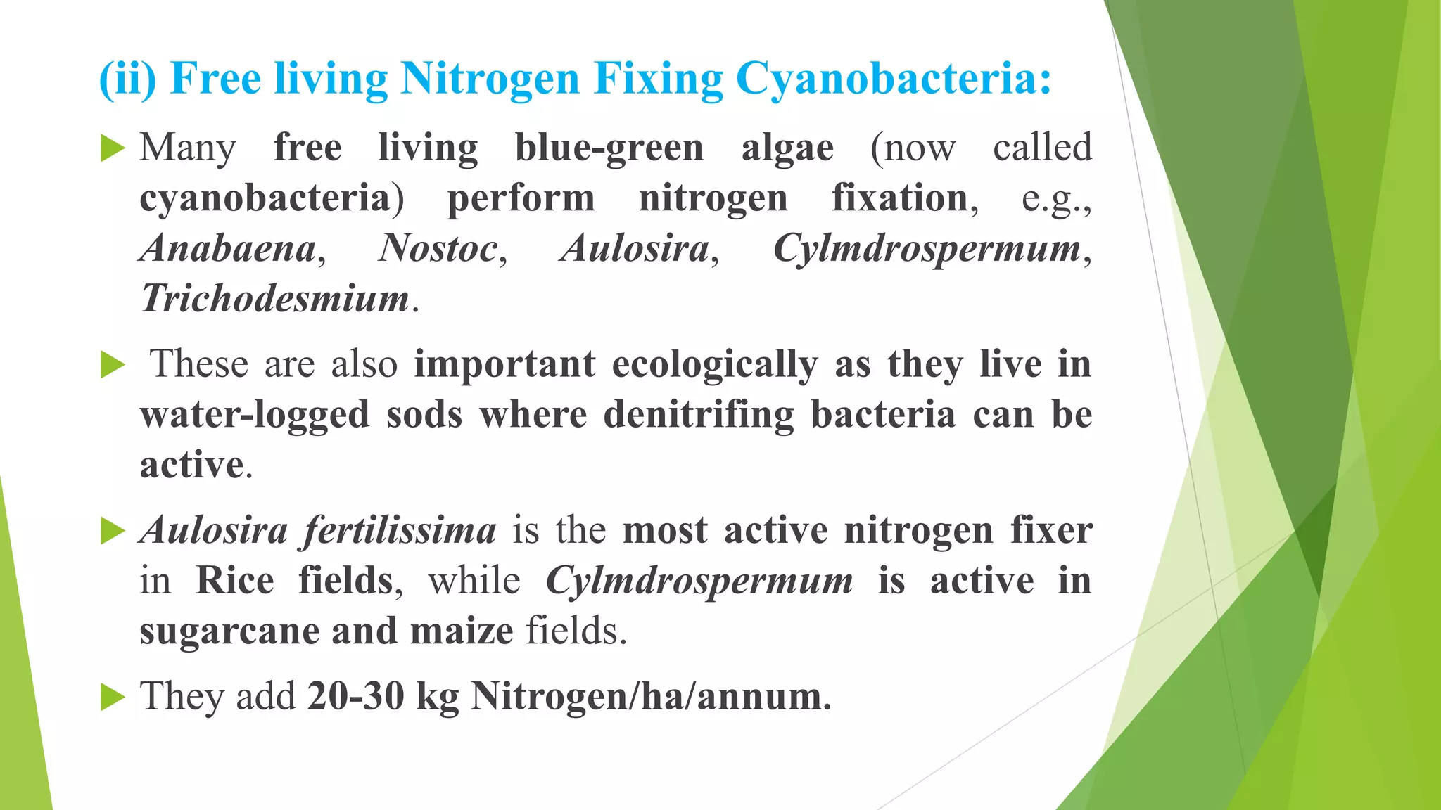 nitrogenmetabolism-201028181632.pdf