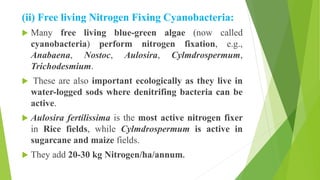 nitrogenmetabolism-201028181632.pdf
