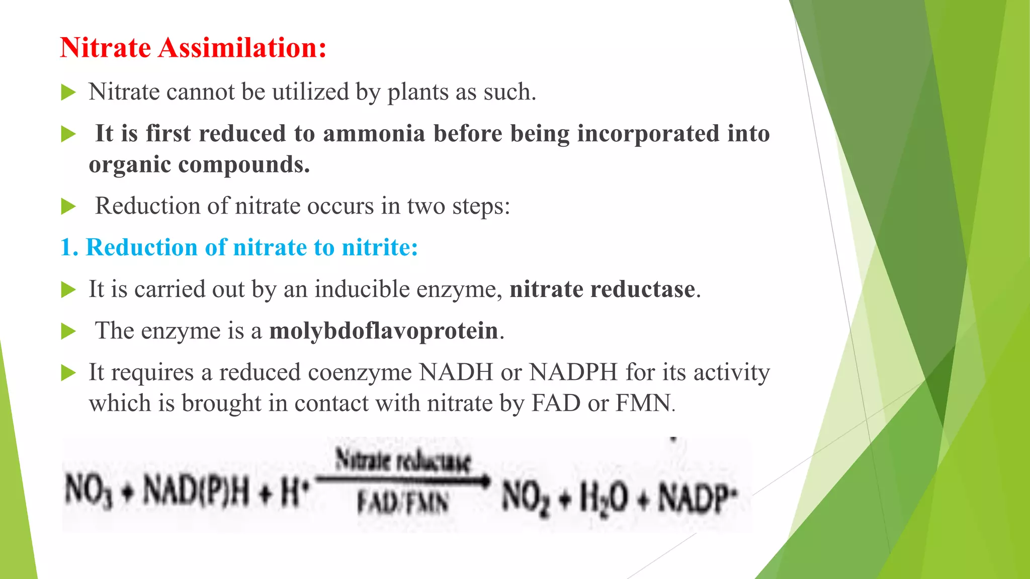 Nitrogen metabolism | PPTX