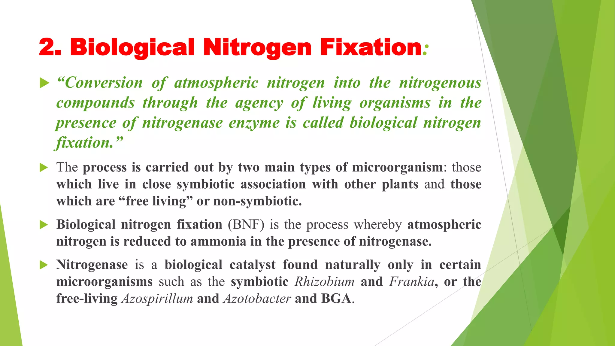 Nitrogen metabolism | PPTX