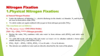Nitrogen metabolism | PPTX