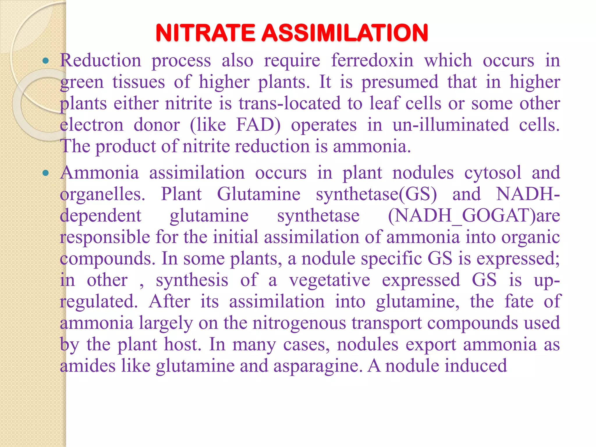 Nitrogen Metabolism.pdf