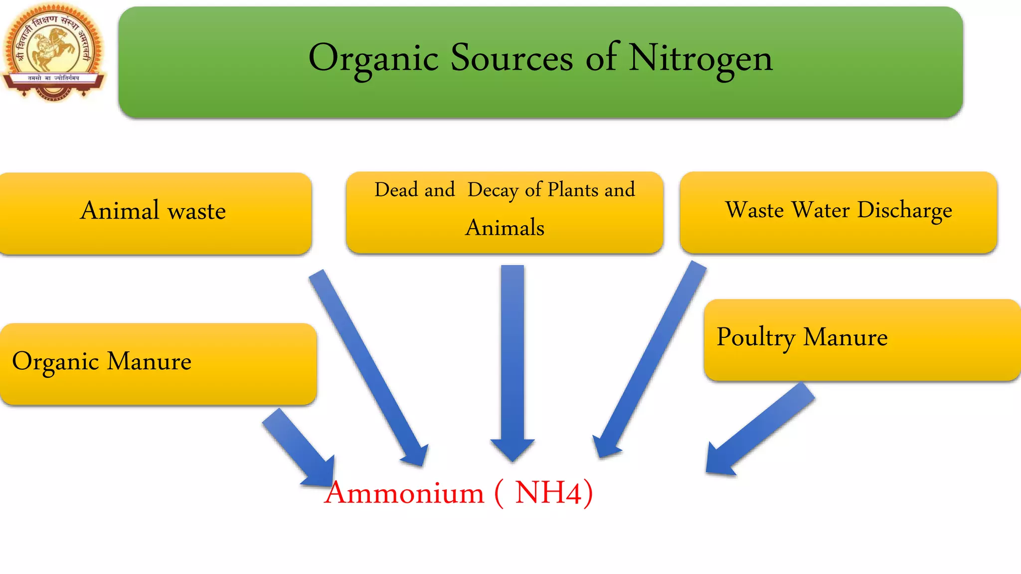 Nitrogen Metabolism : Sources of Nitrogen | PPTX