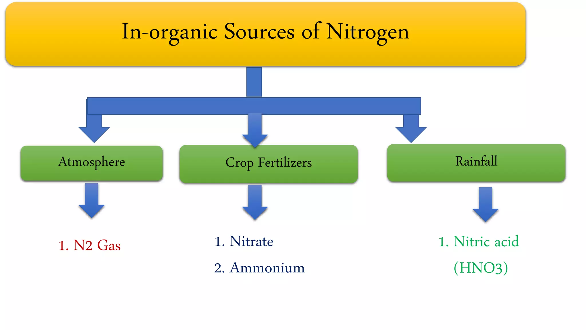 Nitrogen Metabolism : Sources of Nitrogen | PPTX