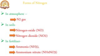 Nitrogen Metabolism : Sources of Nitrogen | PPTX