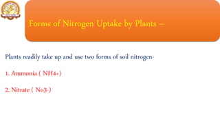 Nitrogen Metabolism : Sources of Nitrogen | PPTX