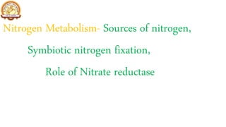 Nitrogen Metabolism : Sources of Nitrogen | PPTX