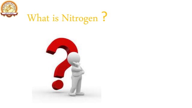 Nitrogen Metabolism : Sources of Nitrogen | PPT