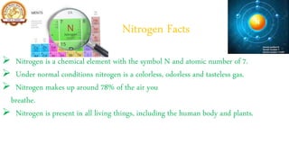 Nitrogen Metabolism : Sources of Nitrogen | PPTX