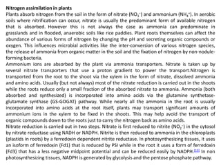 Nitrogen metabolism and growth promoting bacteria | PPTX