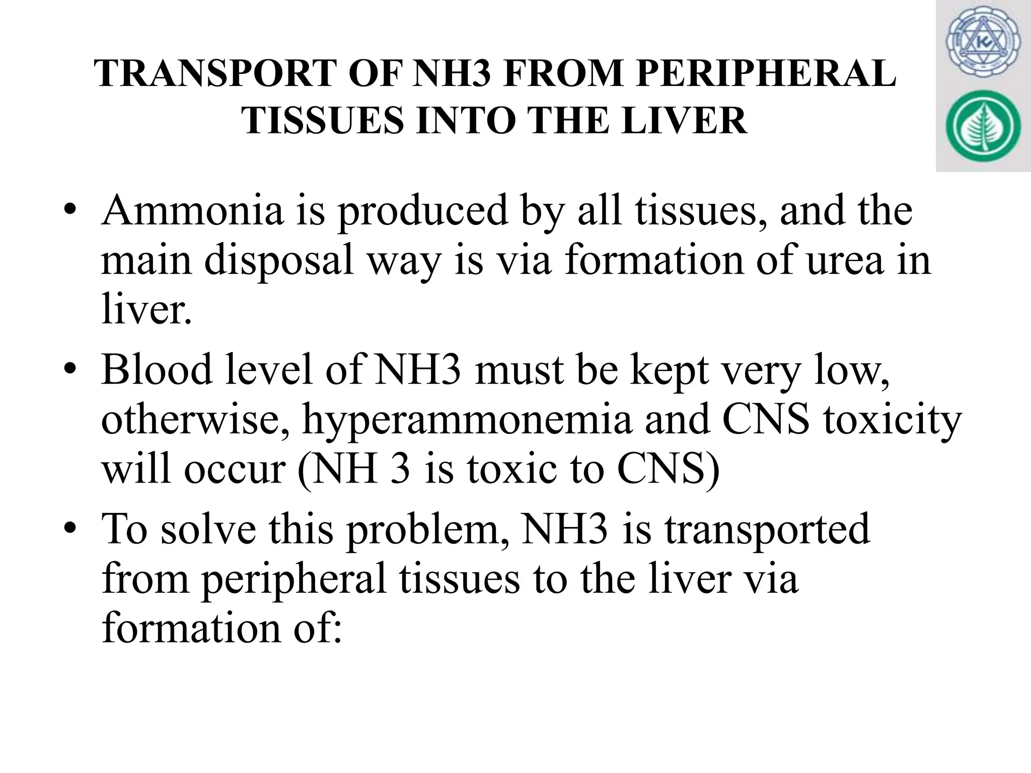 Nitrogen metabolism and the urea cycle.pptx