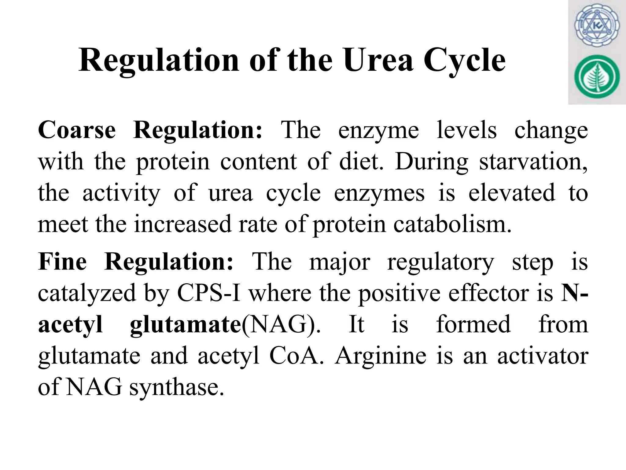 Nitrogen metabolism and the urea cycle.pptx