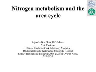Nitrogen metabolism and the urea cycle.pptx | Chemistry | Science
