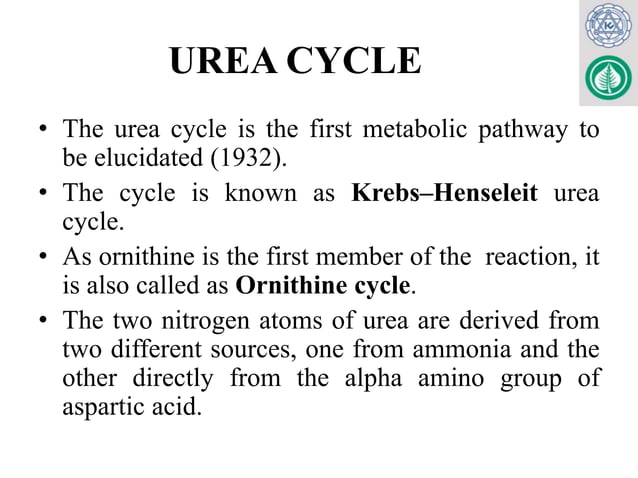 Nitrogen metabolism and the urea cycle.pptx