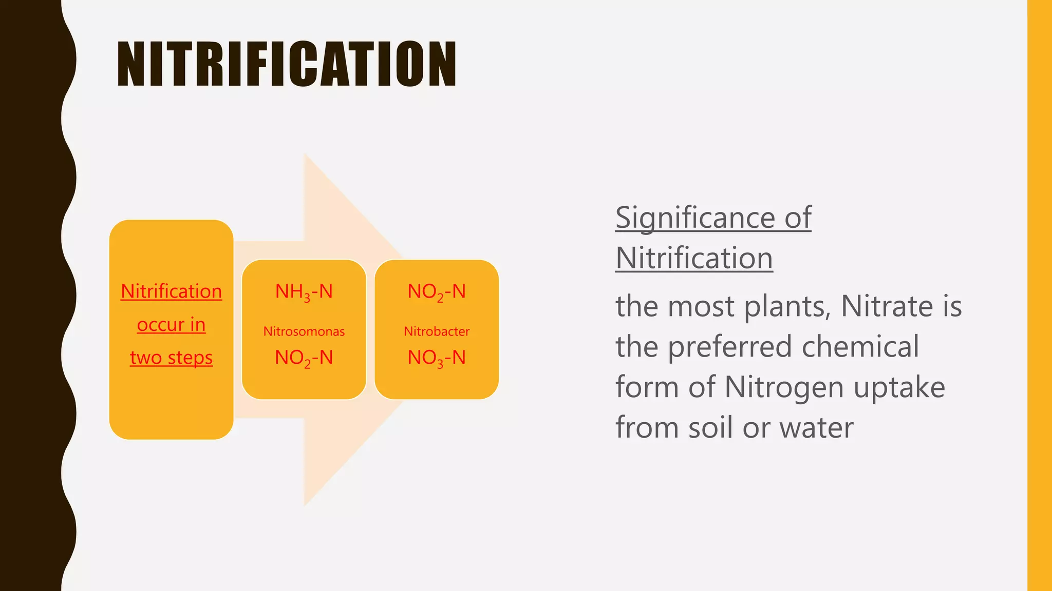 Nitrogen metabolism in plants.pptx