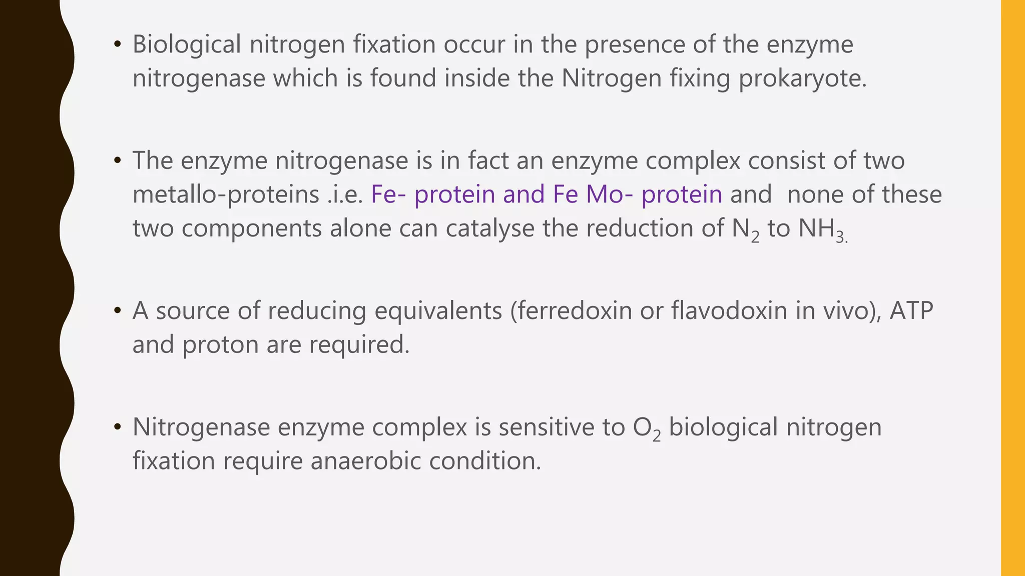 Nitrogen metabolism in plants.pptx