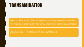 Nitrogen metabolism in plants.pptx