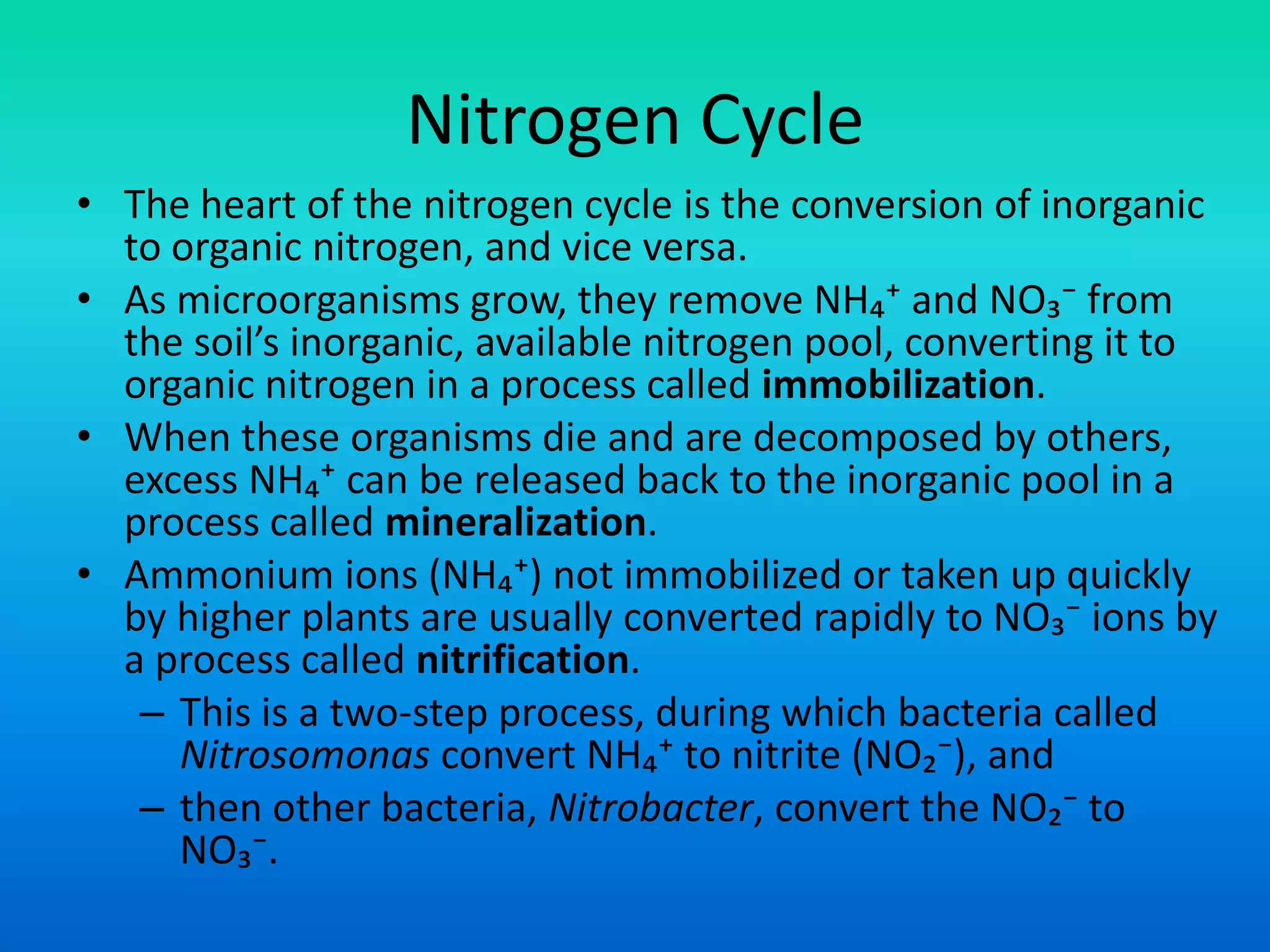 Nitrogen metabolism overview | PDF