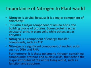 Nitrogen metabolism overview | PDF