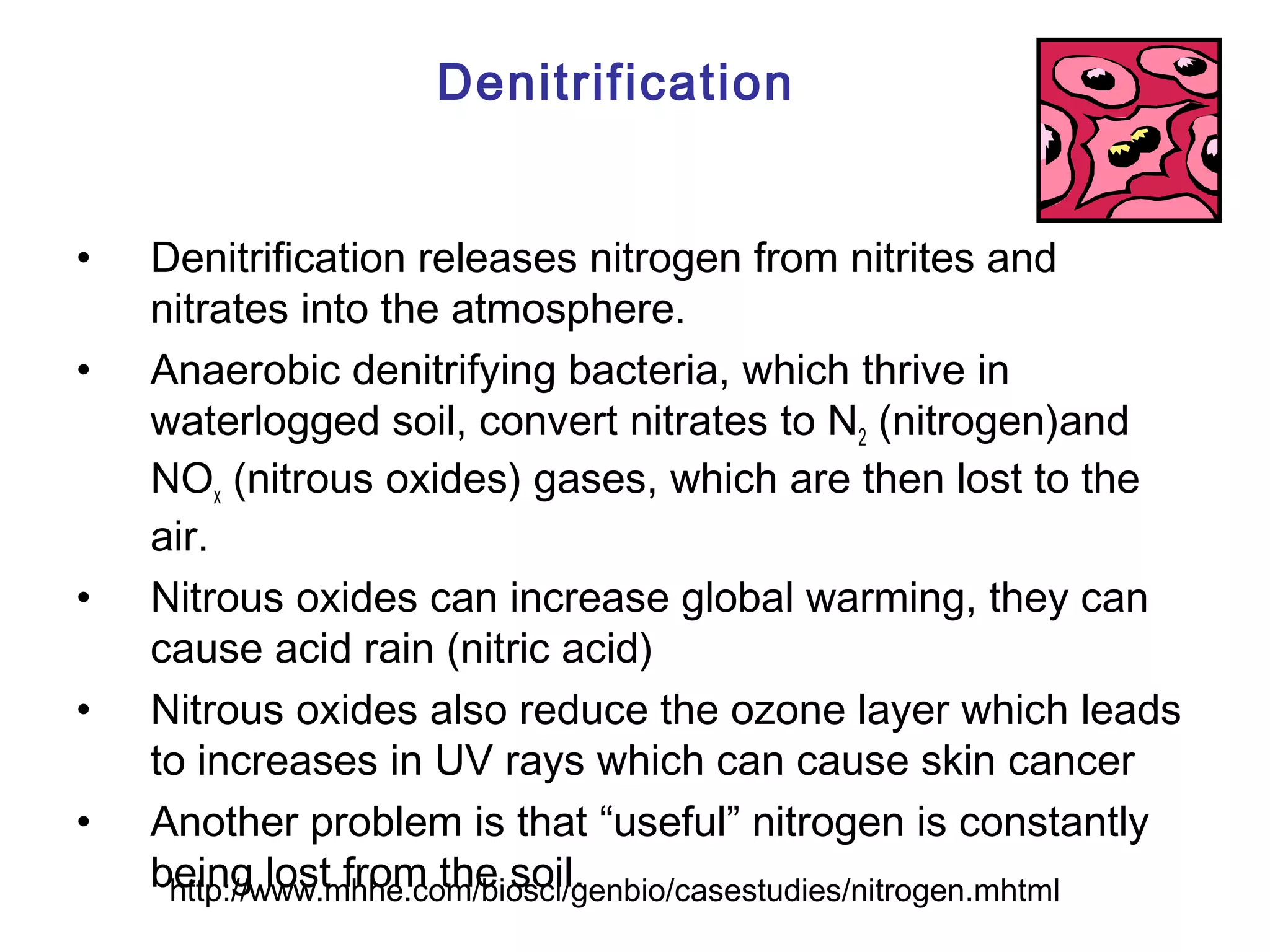 Nitrogen m pr | PPT
