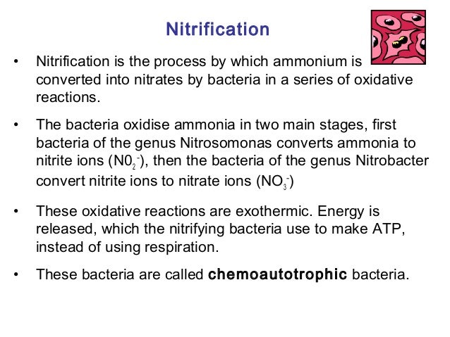 Nitrogen m pr