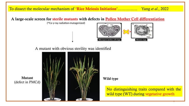 Revitalizing plant fertility: Nitrogen nutrition contributes to plant ...