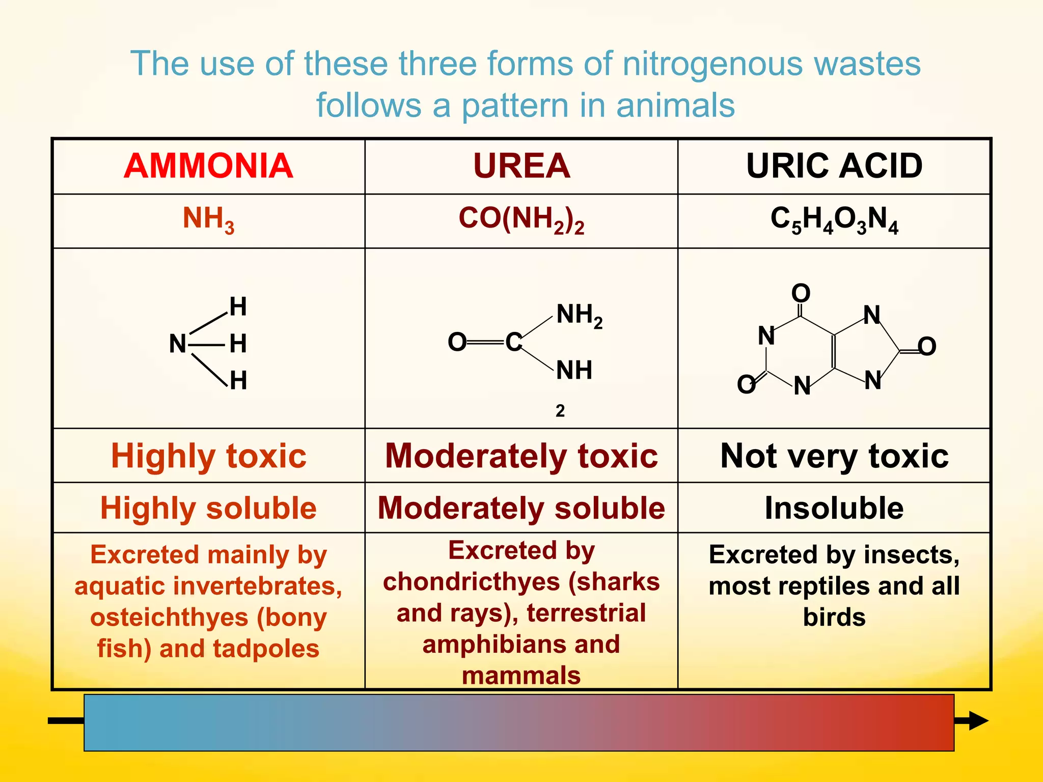 Nitrogenous waste, enogenous chemical | PPTX