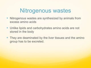 Nitrogenous waste, enogenous chemical | PPTX