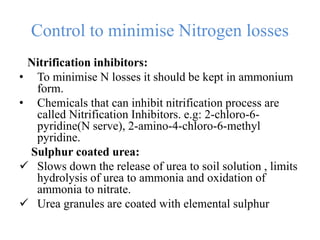 Nitrogen presentation | PPTX