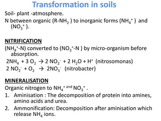 Nitrogen presentation | PPT